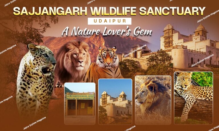 Sajjangarh Wildlife Sanctuary Udaipur: Wildlife, Safari, Timings ...